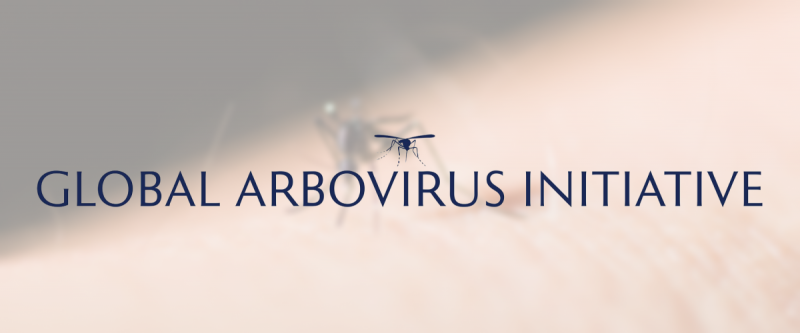 LAUNCH OF THE GLOBAL ARBOVIRUS INITIATIVE - Arbo France